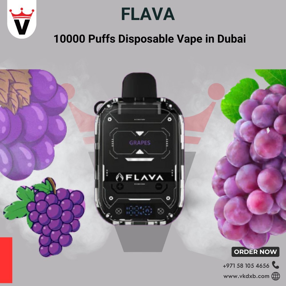 Flava Nimmbox 10000 Puffs Disposable Vapes in Dubai – Vape king dxb